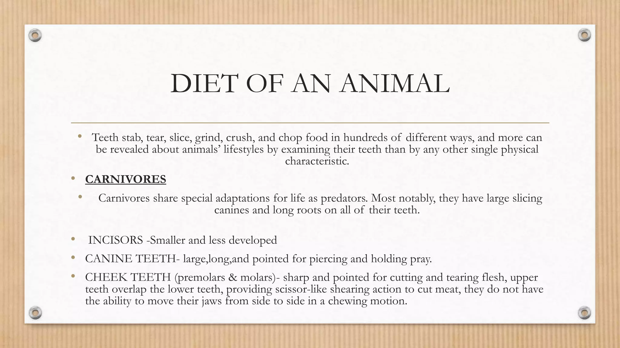 Dental evidence for species identification in wildlife foresic | PPTX