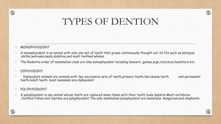 Dental evidence for species identification in wildlife foresic | PPTX