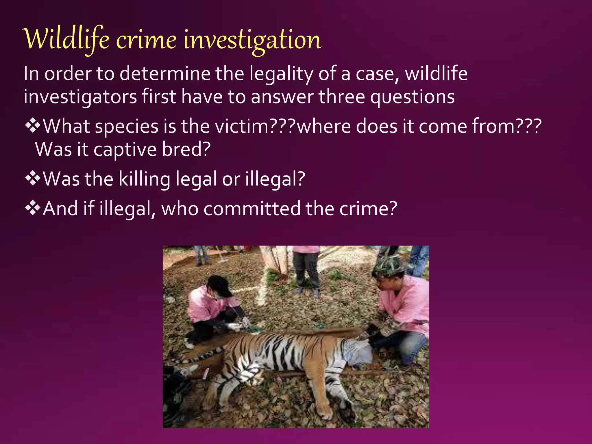 Wildlife Forensic.pptx