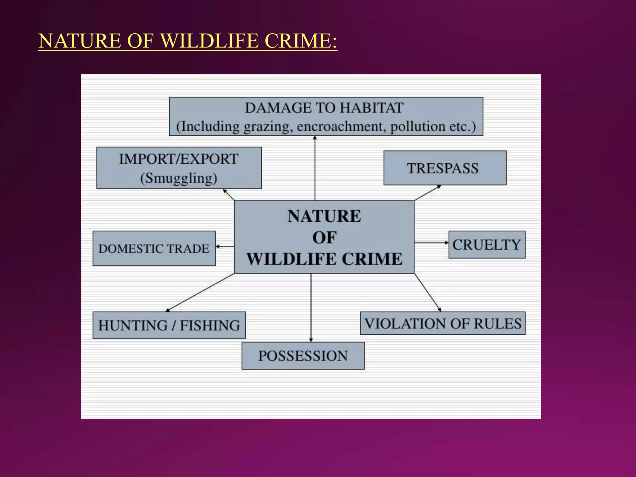 Wildlife Forensic.pptx