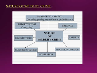 Wildlife Forensic.pptx