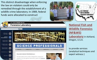 Wild life forensics | PPTX