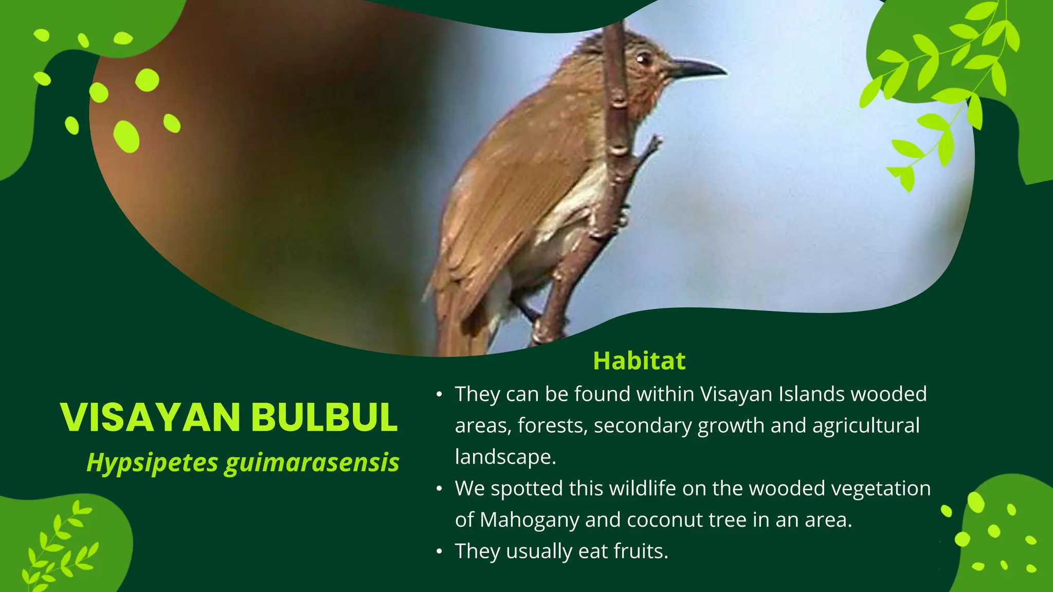 Wildlife Habitat kahsywjegcsbd _ GROUP 2.pptx