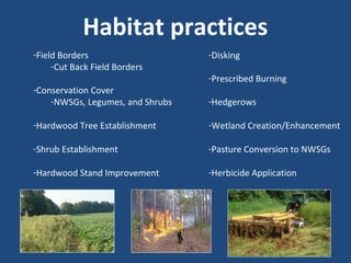 Wildlife Habitat Practices for Your Farm | PPT