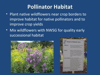 Wildlife Habitat Practices for Your Farm | PPT