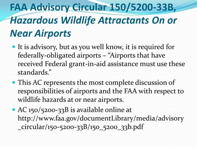 Wildlife Hazards, the FAA and the Inspector General's Audit Report | PDF