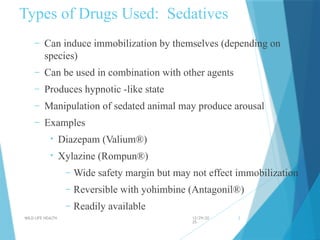 Wildlife health and drugs used in wildlife | PPTX