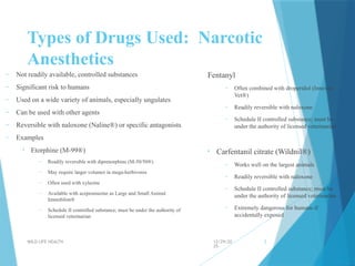 Wildlife health and drugs used in wildlife | PPTX