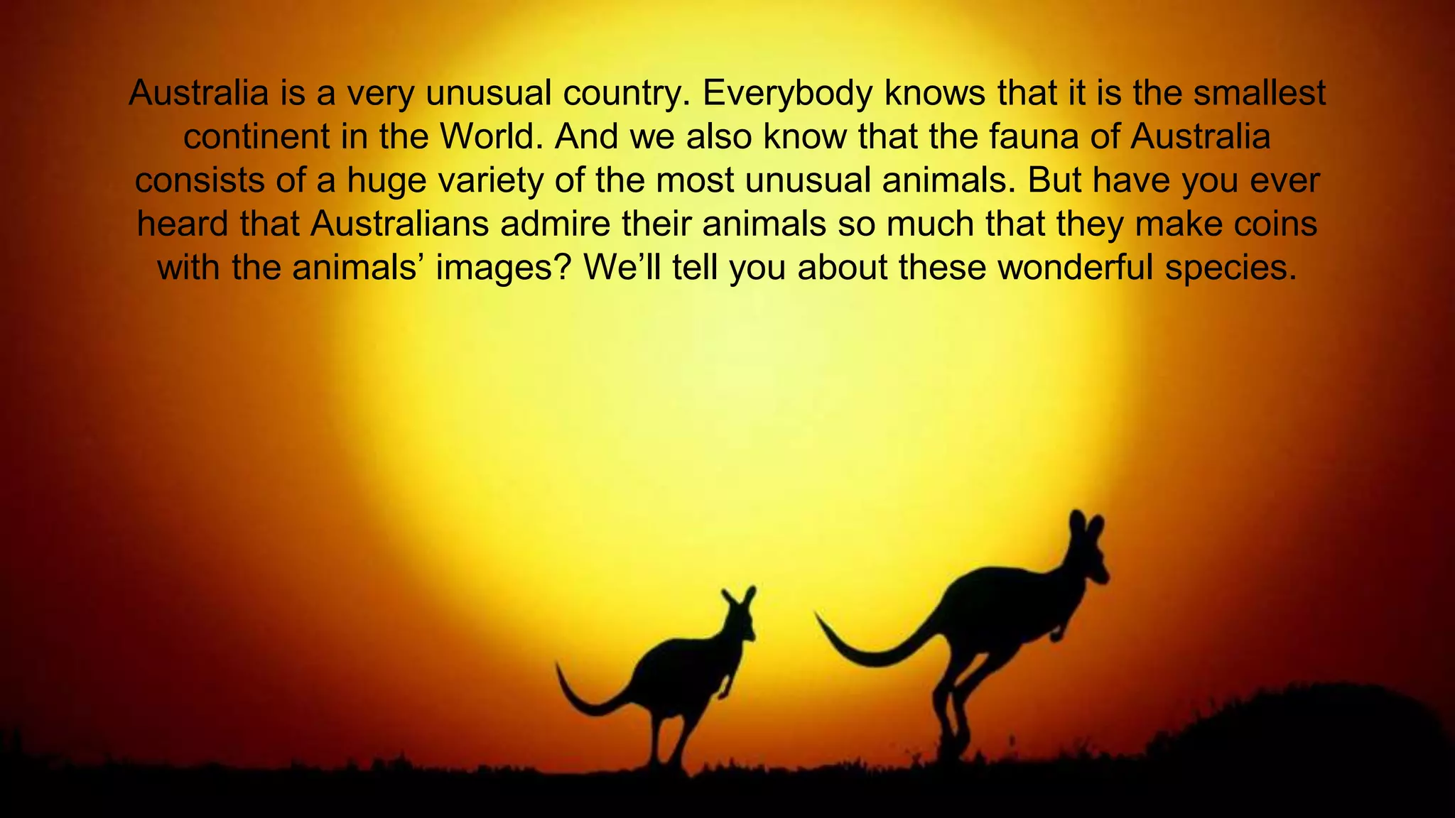 Wildlife in australia | PPTX
