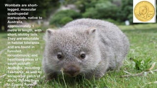 Wildlife in australia | PPT