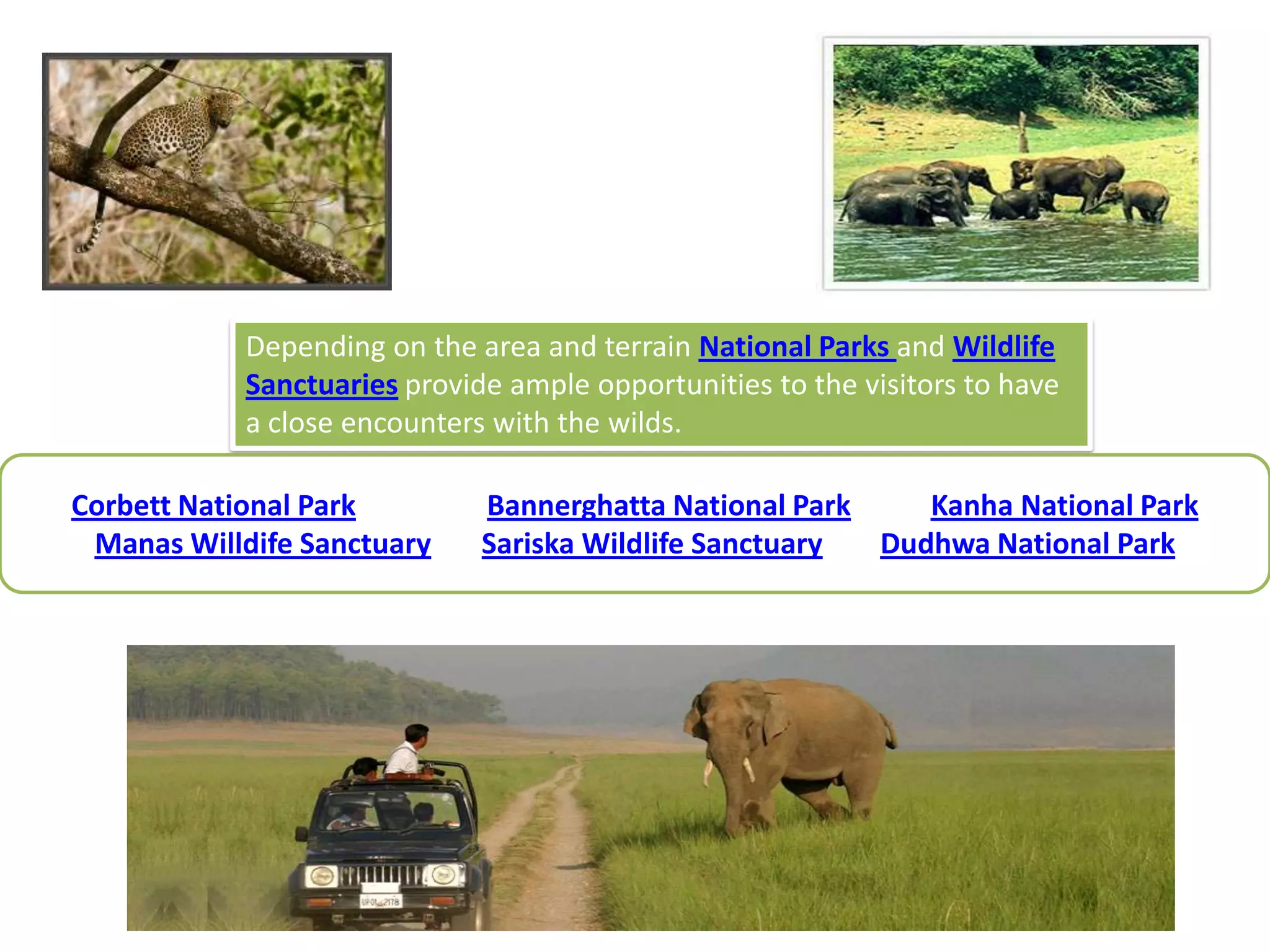 Wildlife Tour India | PPT