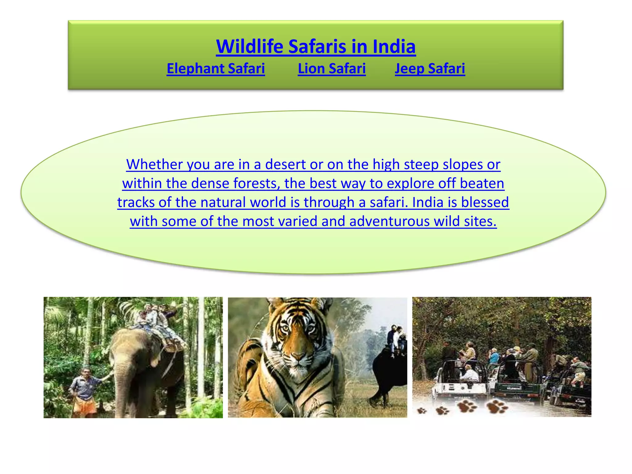 Wildlife Tour India | PPT