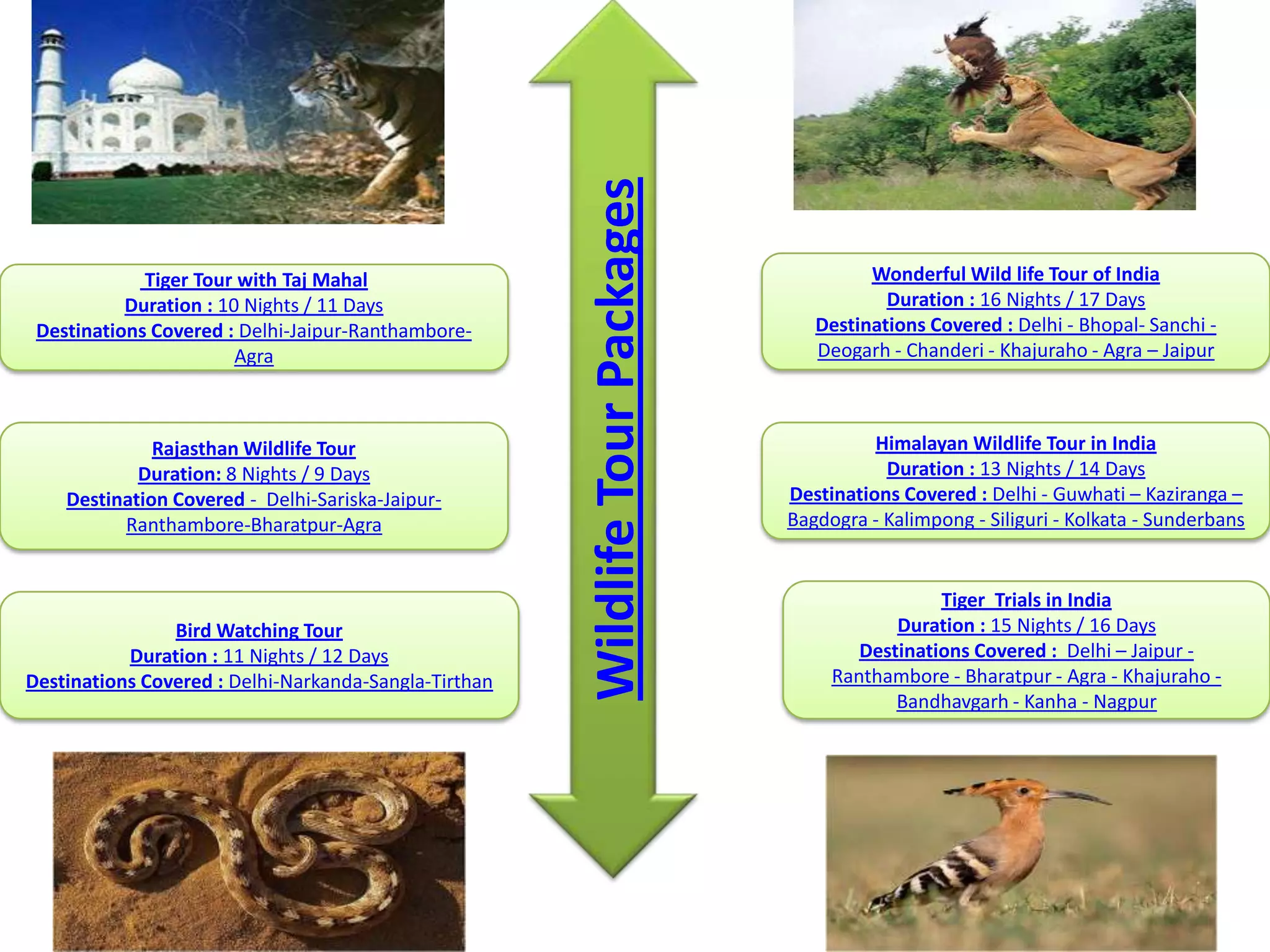 Wildlife Tour India | PPT