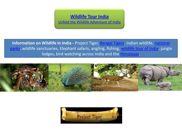 Wildlife Tour India | PPT | Asia Travel | Travel Locations