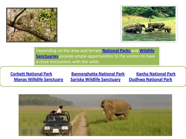Wildlife Tour India | PPT | Asia Travel | Travel Locations