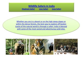 Wildlife Tour India | PPT