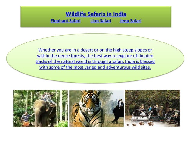 Wildlife Tour India | PPT | Asia Travel | Travel Locations