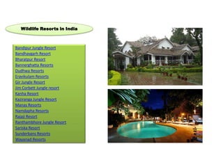 Wildlife Tour India | PPT