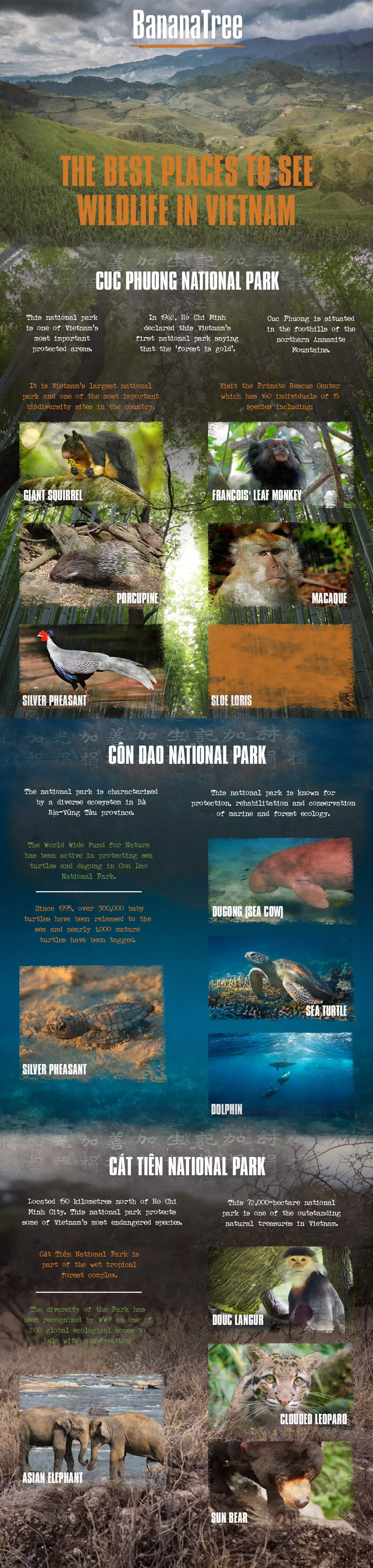 Wildlife infographic | PDF