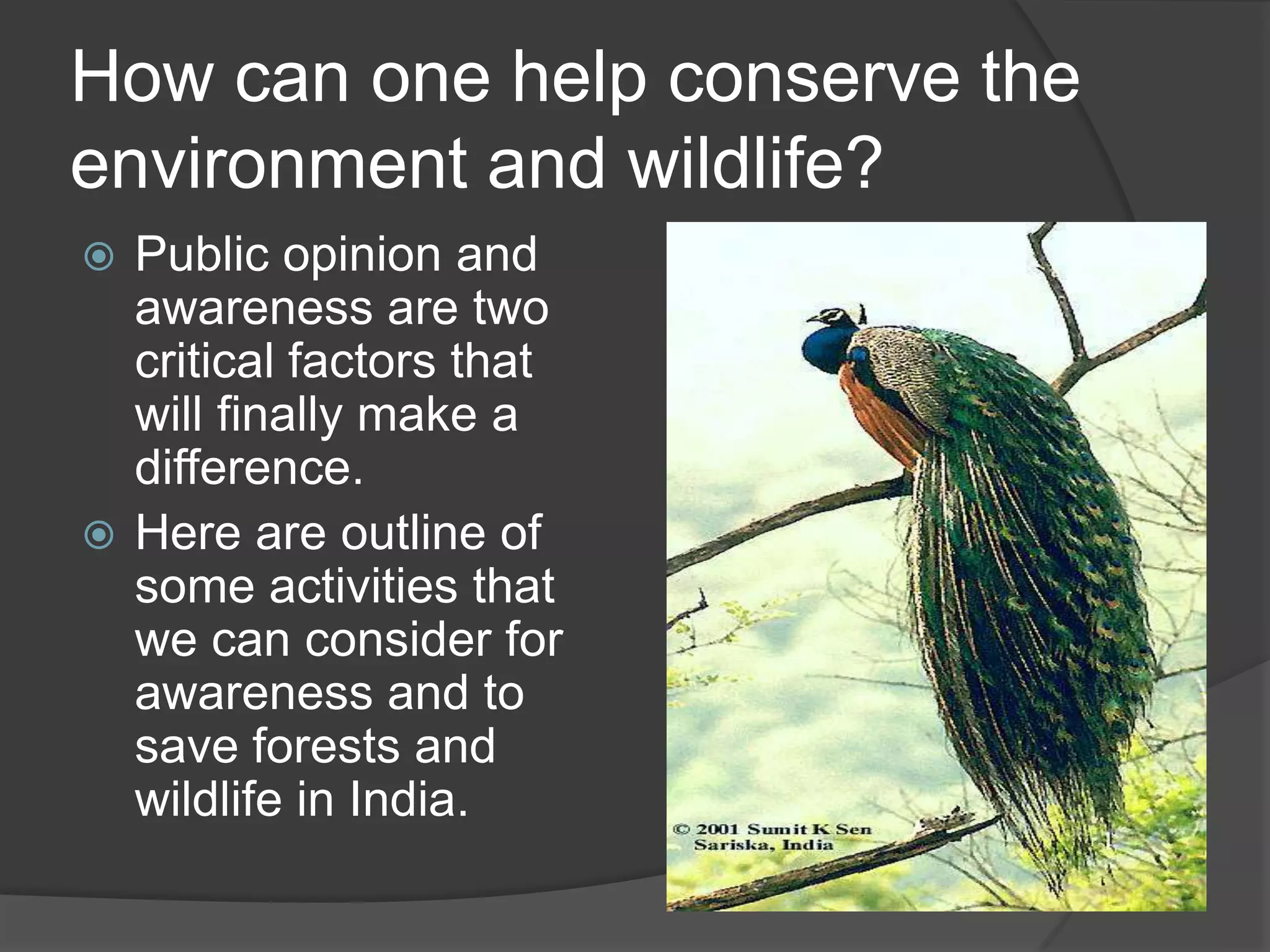 Wildlife in india | PPTX