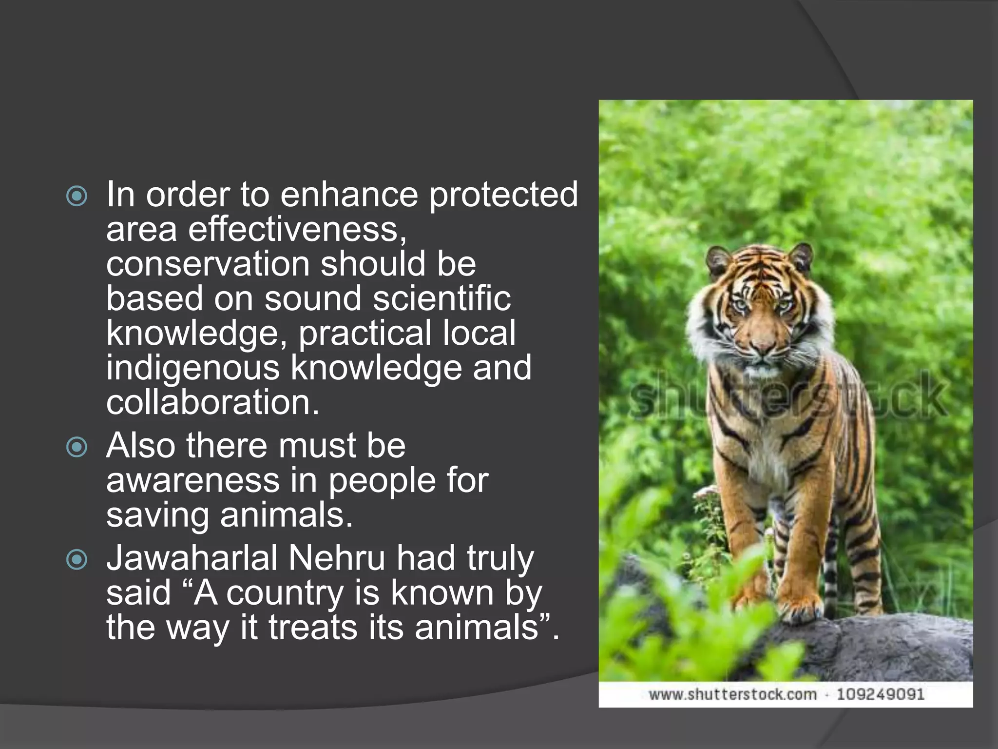 Wildlife in india | PPTX