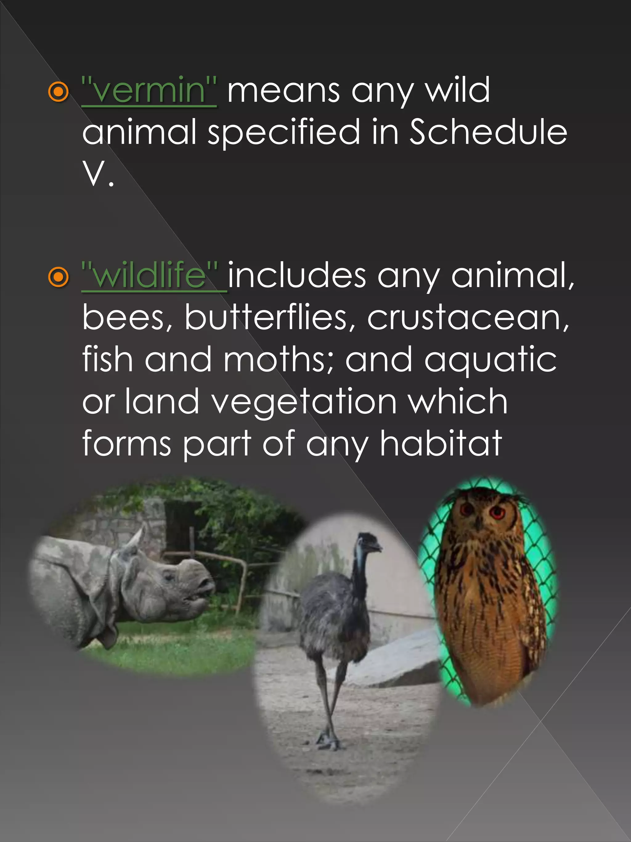 Wildlife in India. Human Wildlife conflicts and wildlife protection act ...