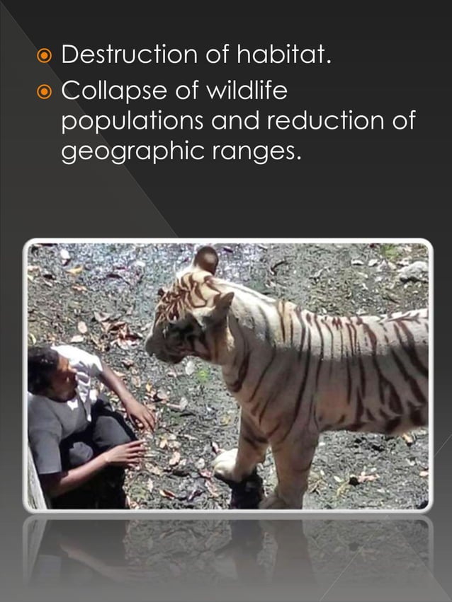 Wildlife in India. Human Wildlife conflicts and wildlife protection act | PPTX