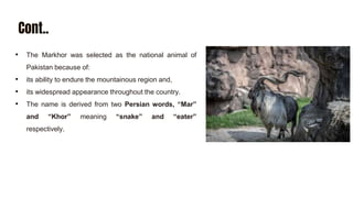 Wildlife in pakistan final ppt | PPTX