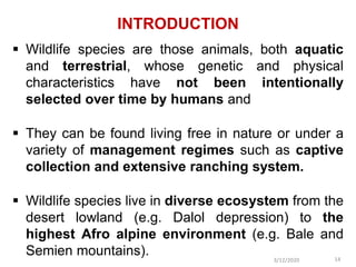 Wildlife lecture notes | PDF