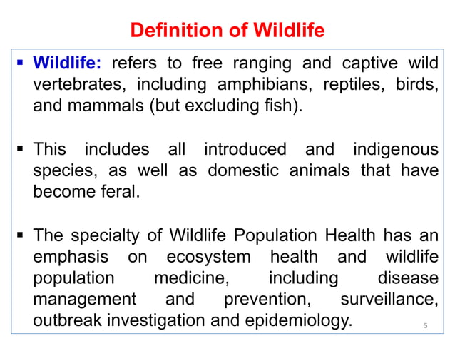 Wildlife lecture notes | PDF