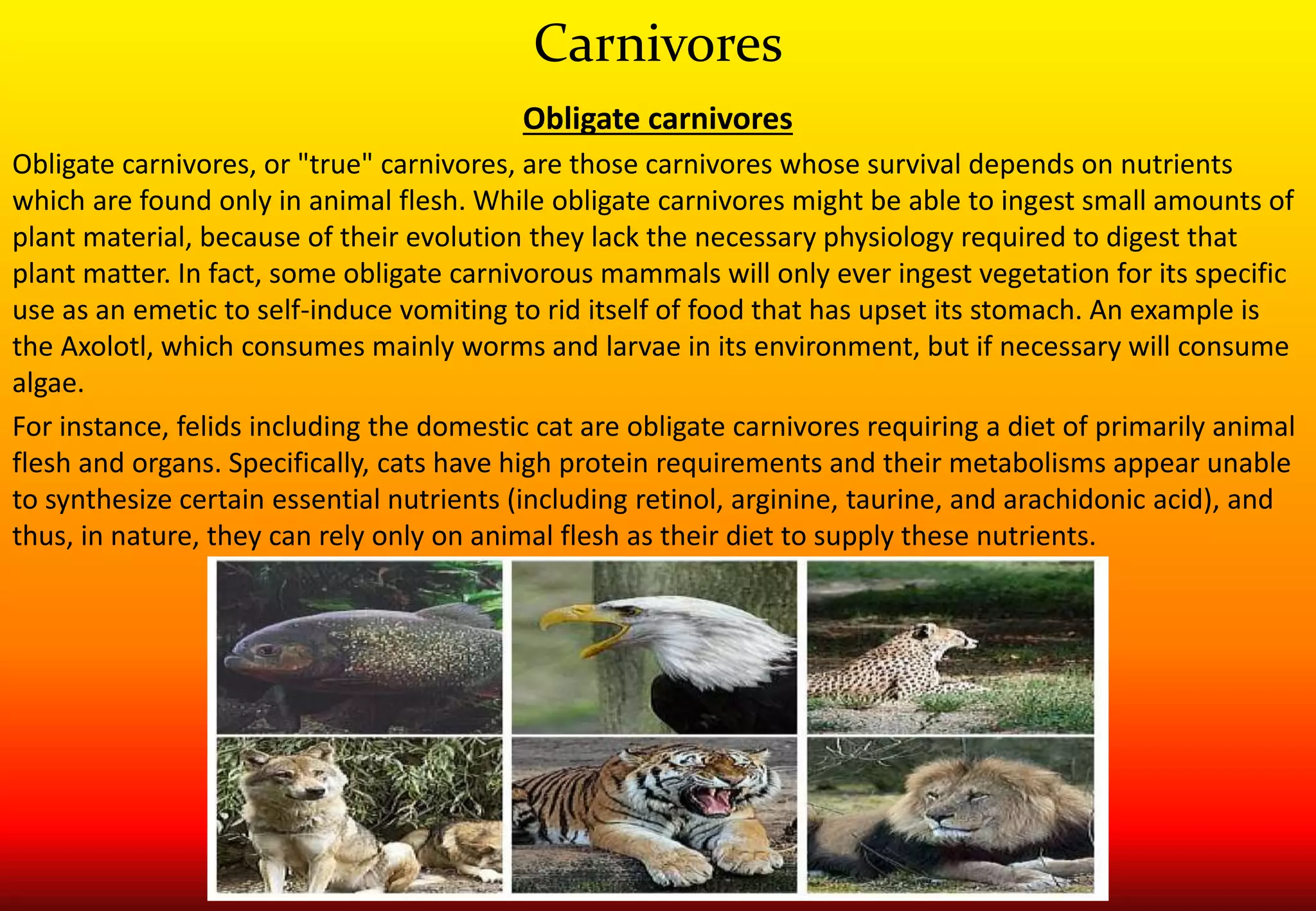 Wildlife management - habit, habitat, territory & niche of animals | PPTX