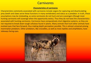 Wildlife management - habit, habitat, territory & niche of animals | PPTX