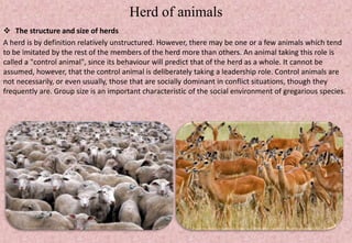 Wildlife management - habit, habitat, territory & niche of animals | PPTX