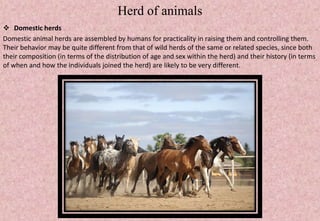 Wildlife management - habit, habitat, territory & niche of animals | PPTX