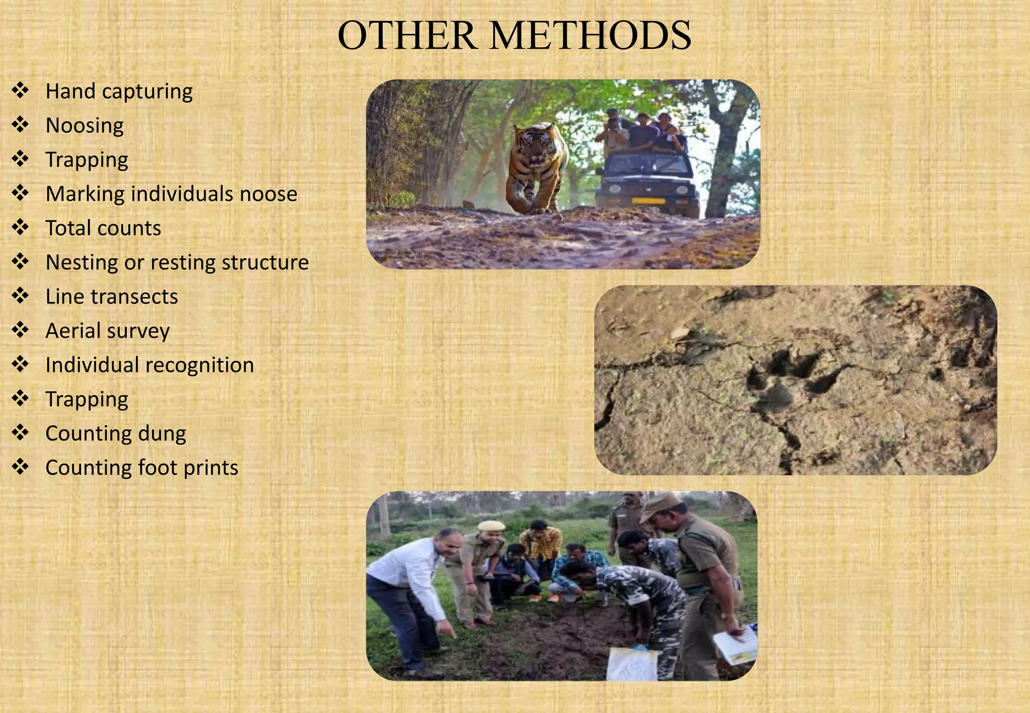 Wildlife management techniques and methods of wildlife conservation | PPTX