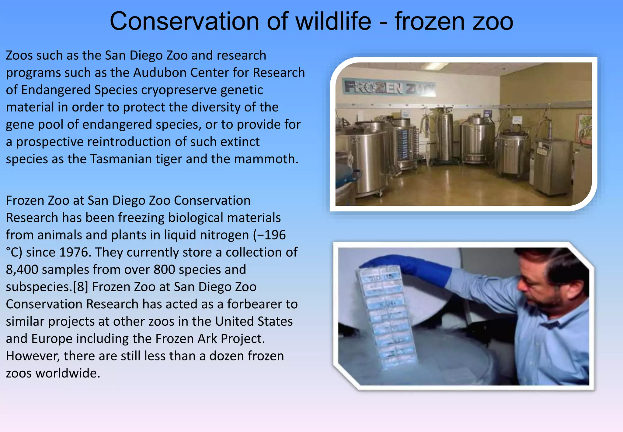 Wildlife management techniques and methods of wildlife conservation | PPTX