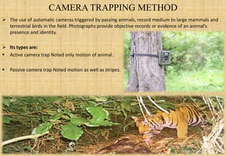 Wildlife management techniques and methods of wildlife conservation | PPTX