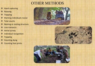 Wildlife management techniques and methods of wildlife conservation | PPTX