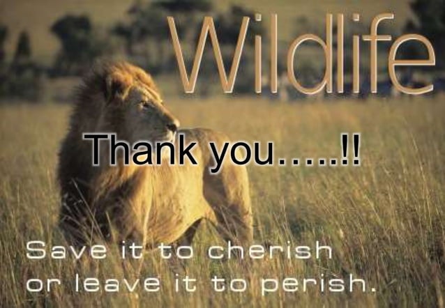 Wildlife management techniques and methods of wildlife conservation ...