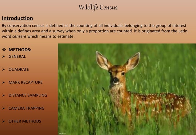 Wildlife management techniques and methods of wildlife conservation ...