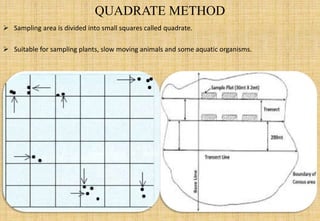 Wildlife management techniques and methods of wildlife conservation | PPTX