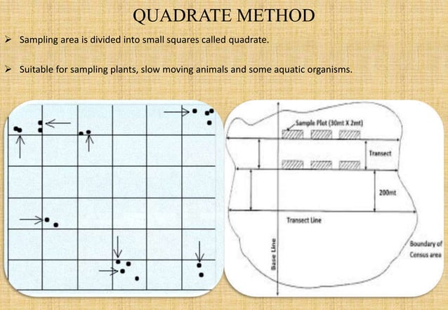 Wildlife management techniques and methods of wildlife conservation ...