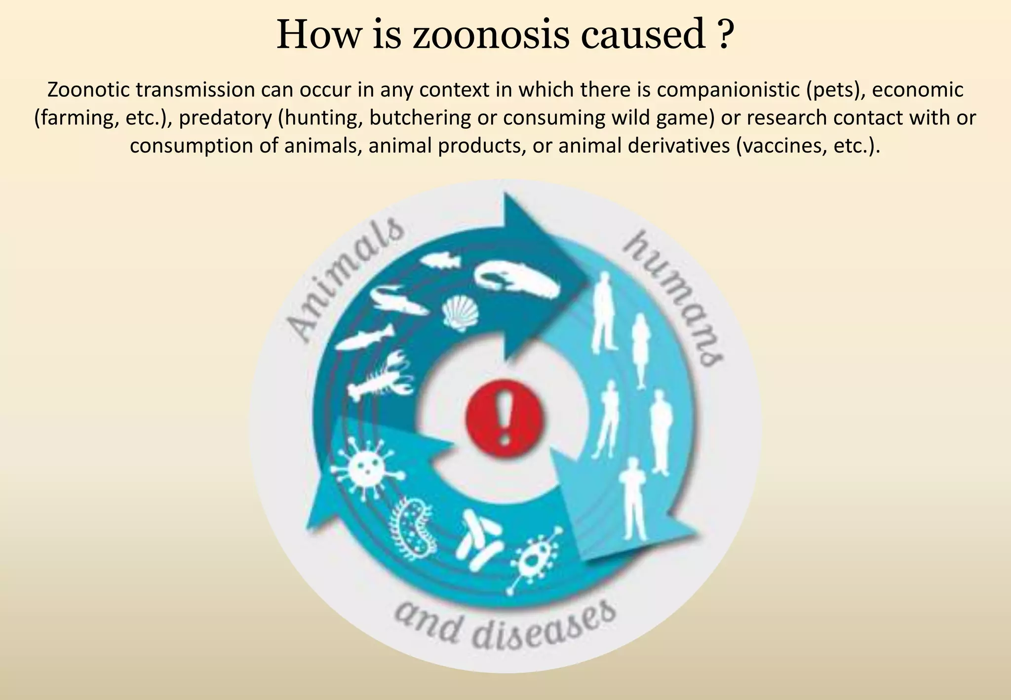 Wildlife management - threats to wildlife | PPTX