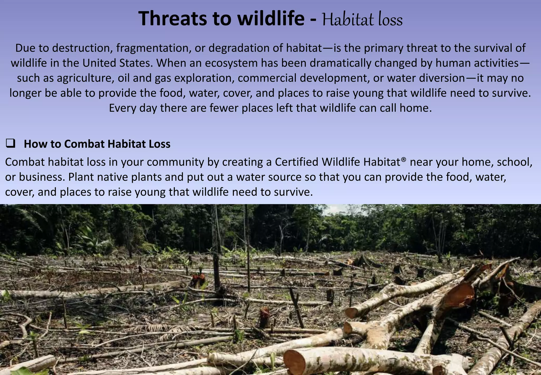 Wildlife management - threats to wildlife | PPTX