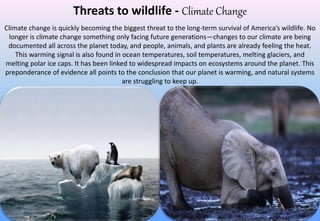 Wildlife management - threats to wildlife | PPTX