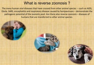 Wildlife management - threats to wildlife | PPTX