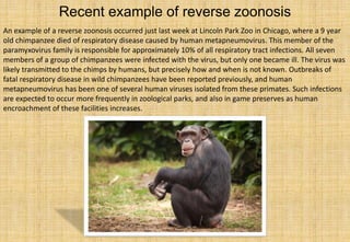 Wildlife management - threats to wildlife | PPTX