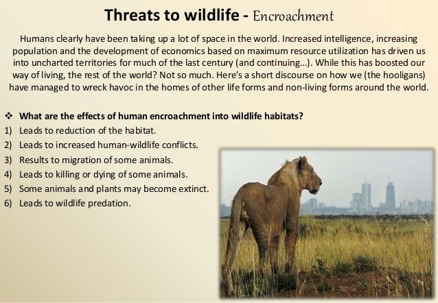 Wildlife management - threats to wildlife
