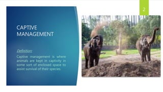 Wildlife management | PPT