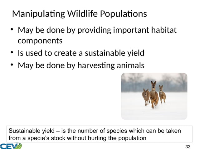 Wildlife Management to student of wu.pptx